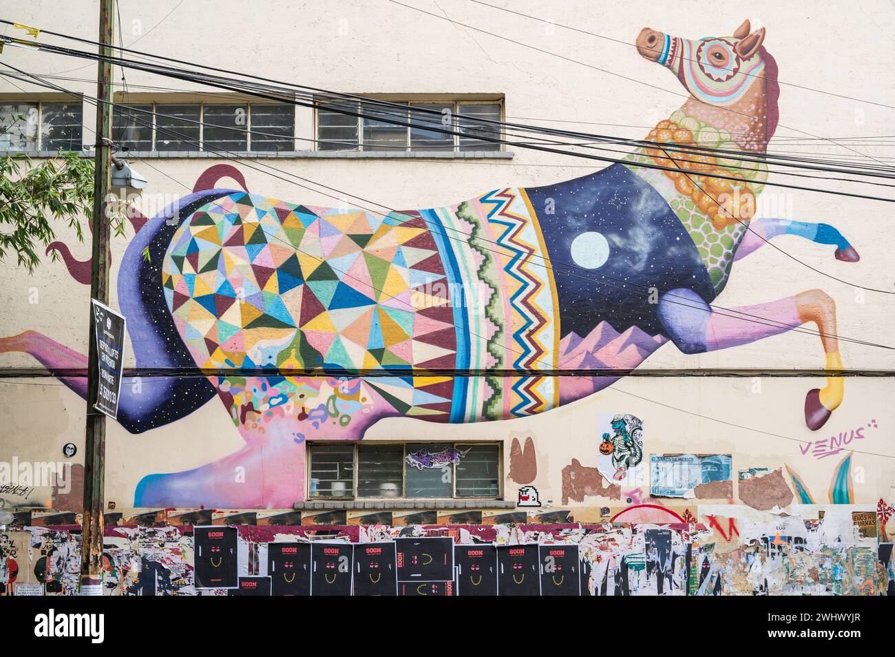 Mexico city street art hi-res stock photography and images - Alamy