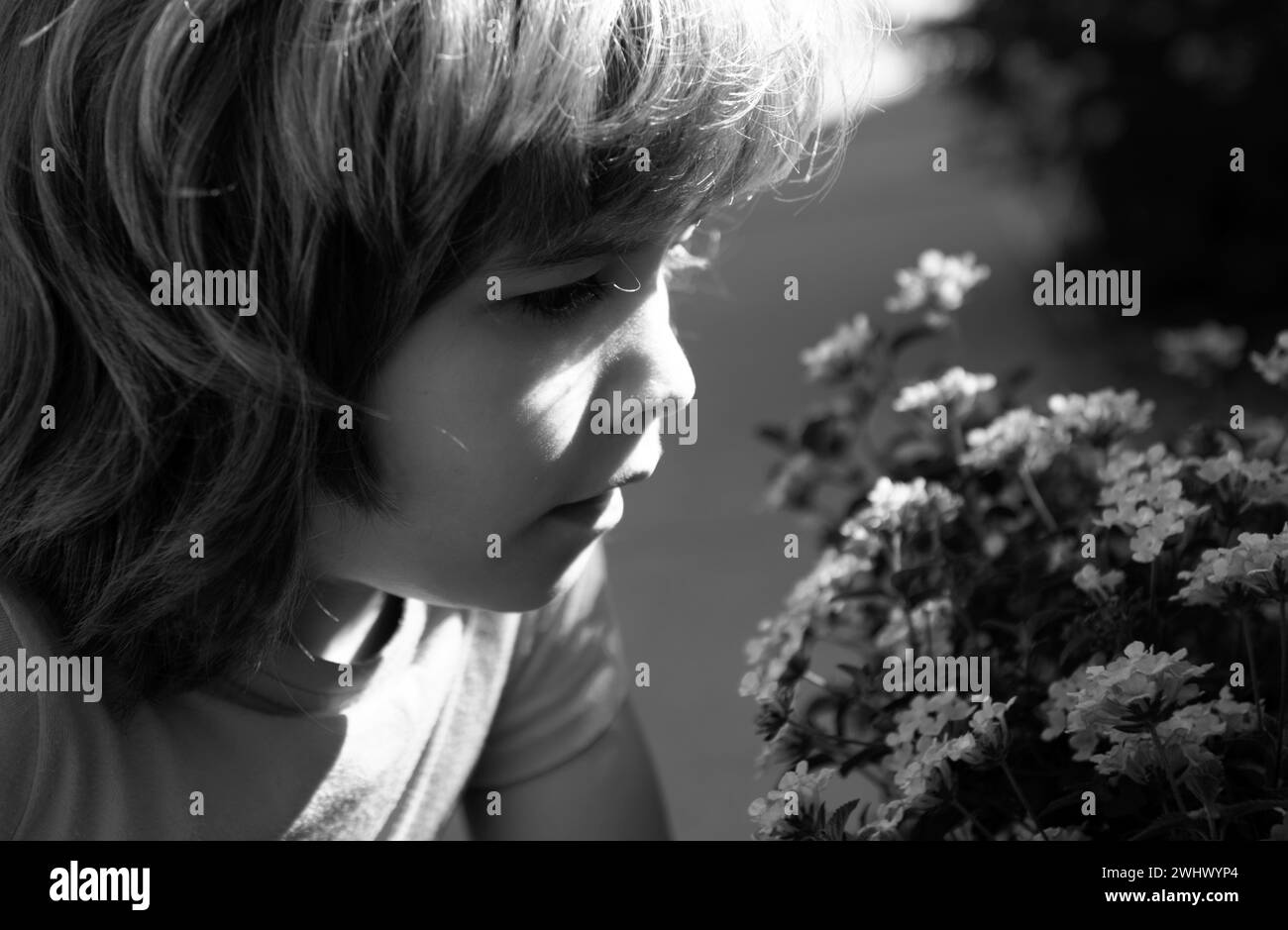 Kids flower allergy. Little boy smelling flower outdoor. Kid sniffing ...
