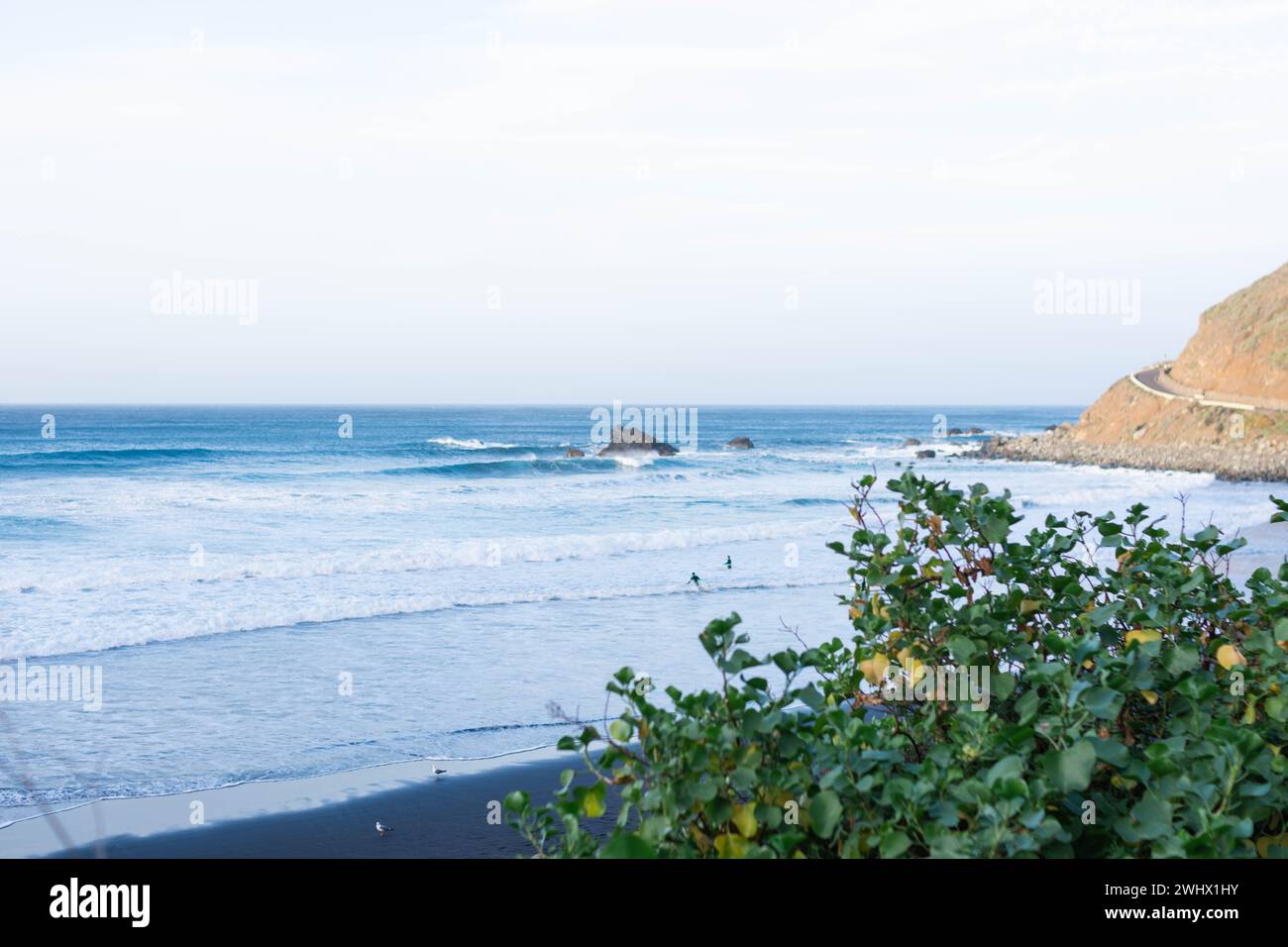 Almaciga beach on the island of Tenerife. Beautiful day at the beach ...