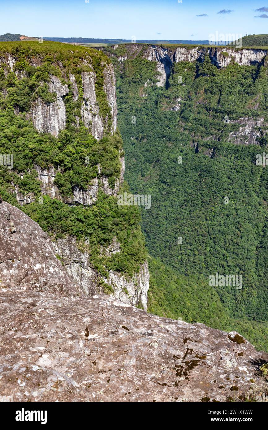 Forest and rocks in Fortaleza Canyon, Cambara do Sul, Rio Grande do Sul ...