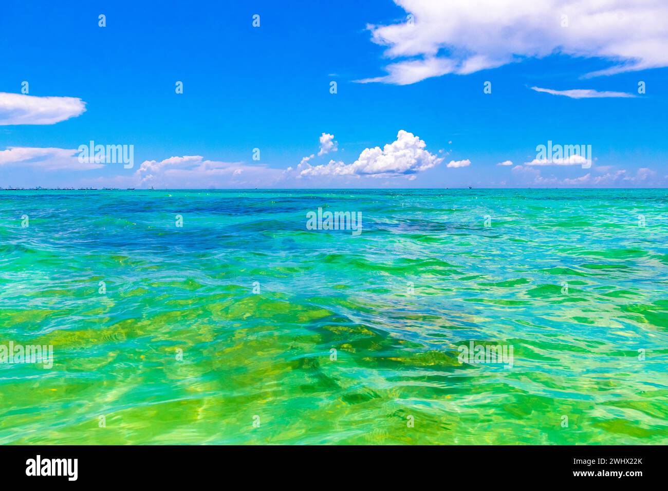 Tropical mexican caribbean beach landscape panorama with clear ...