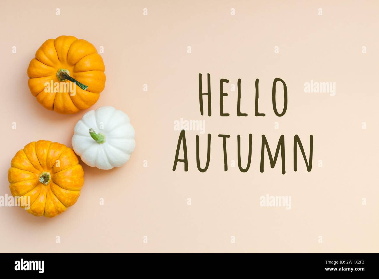 Fall background with small pumpkins Stock Photo - Alamy