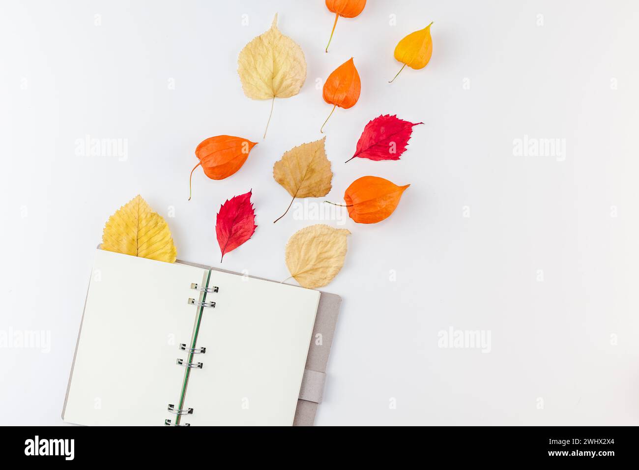 Flat view dried flowers hi-res stock photography and images - Alamy