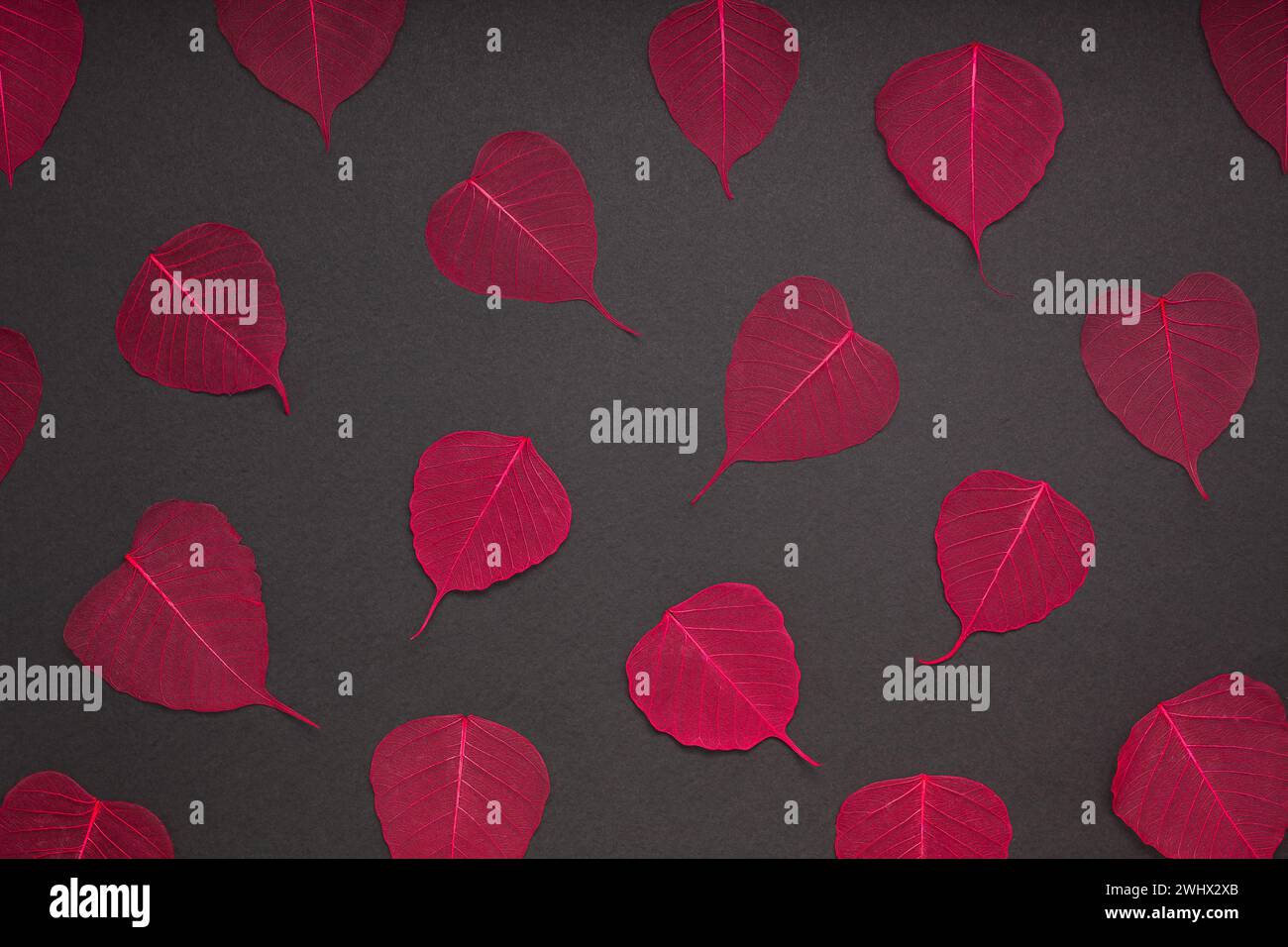 Red leaves pattern hi-res stock photography and images - Alamy