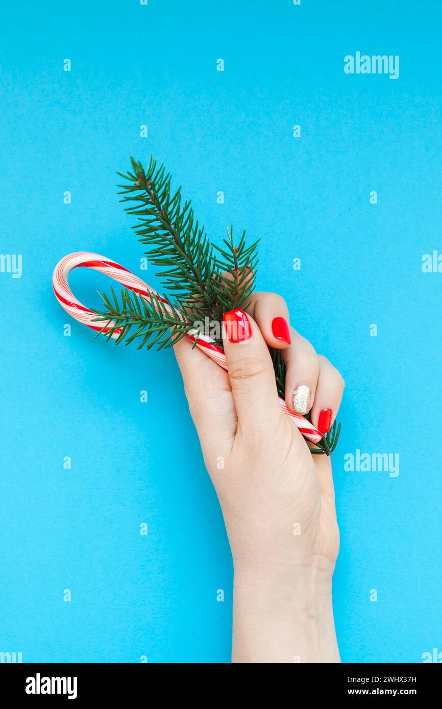 Female hand holding fir branch and sweet cane Stock Photo - Alamy