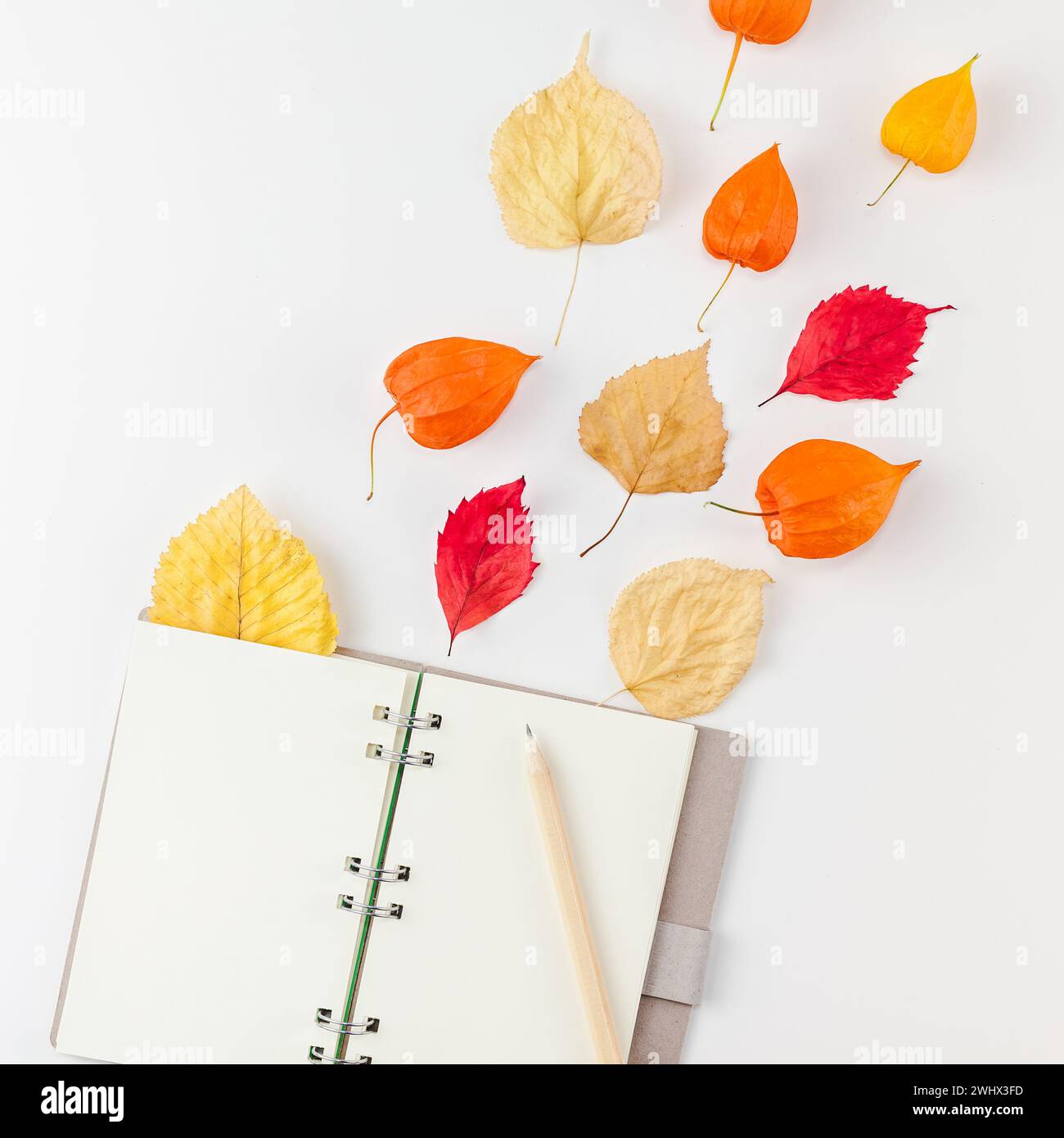 Flying leaves hi-res stock photography and images - Alamy