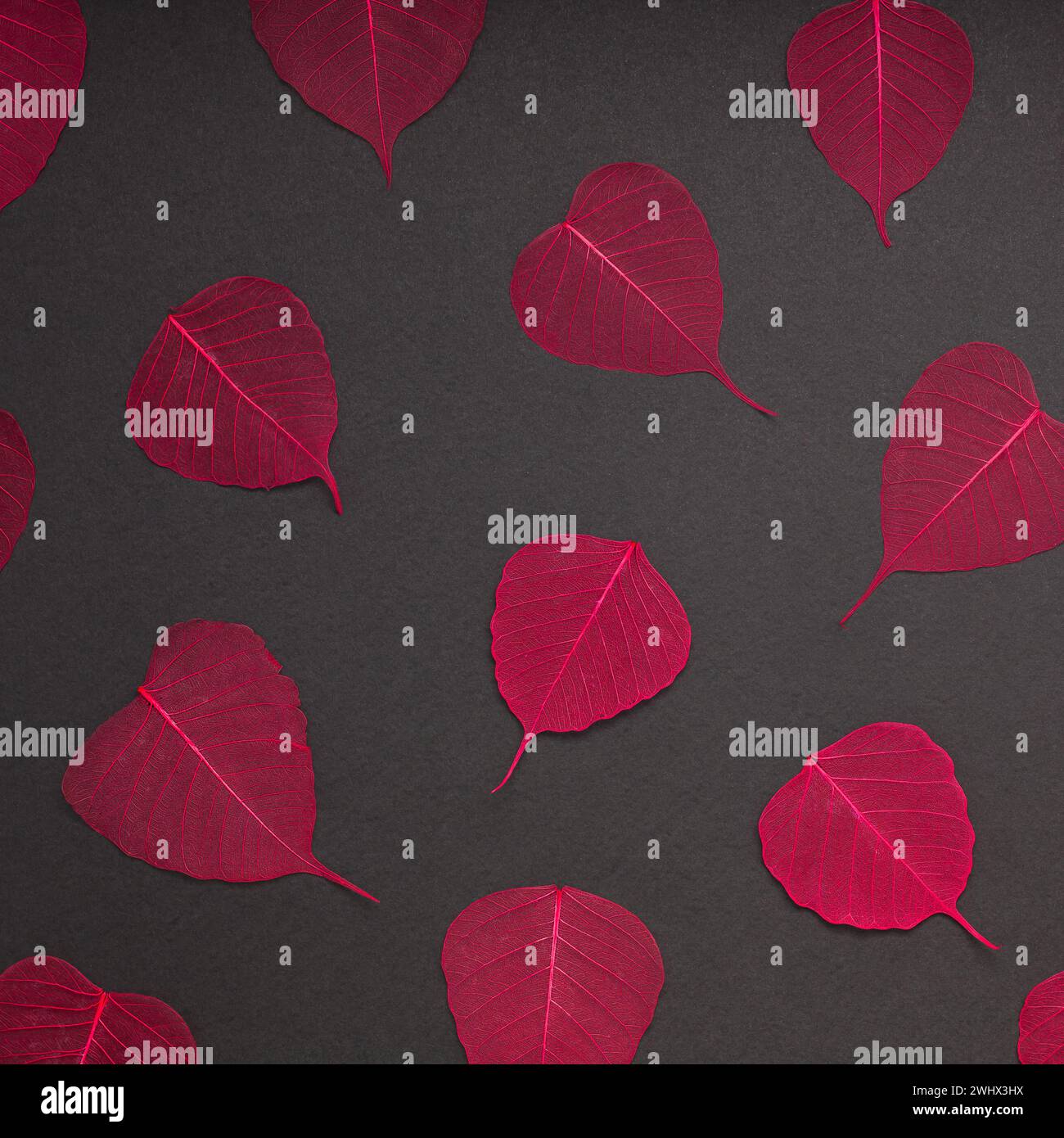 Red leaves pattern hi-res stock photography and images - Alamy