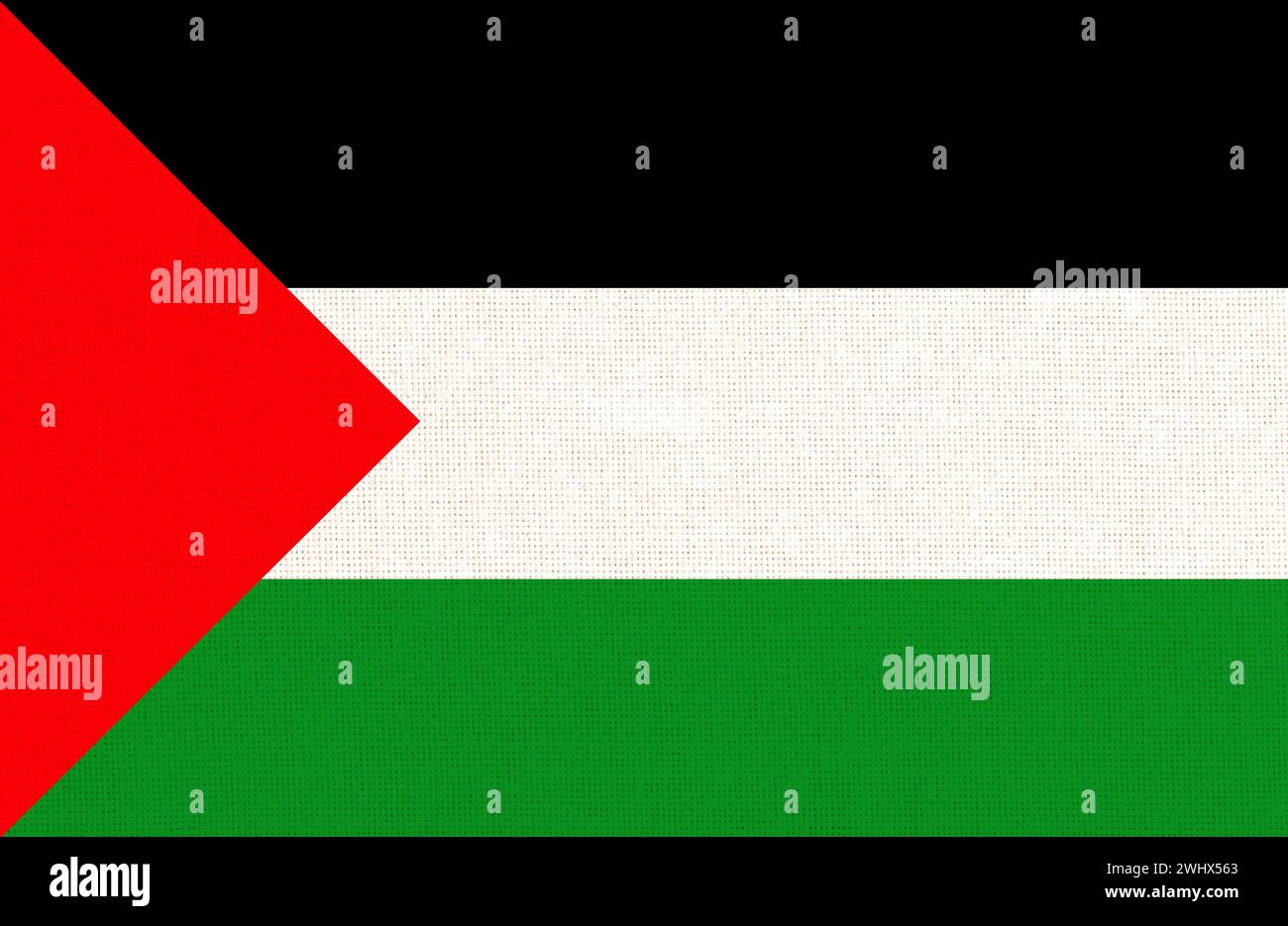 Flag of Palestine on fabric surface. Palestine national flag on texture ...
