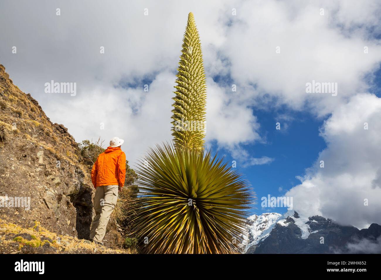 Hiking in the fantastic landscape of the Peruvian high mountain Andes ...