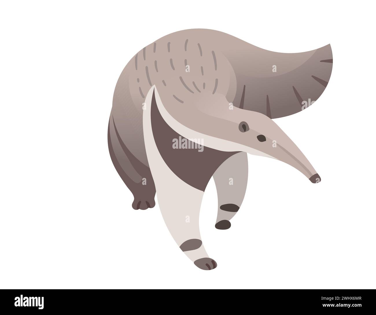Anteater mammal cartoon animal design vector illustration isolated on ...