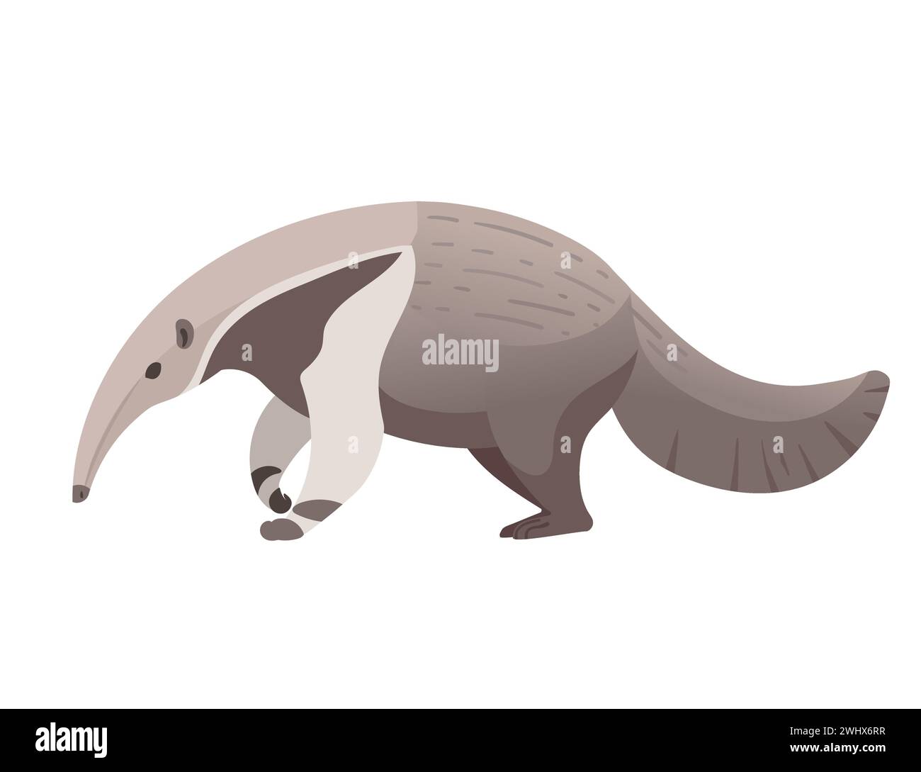 Anteater mammal cartoon animal design vector illustration isolated on ...