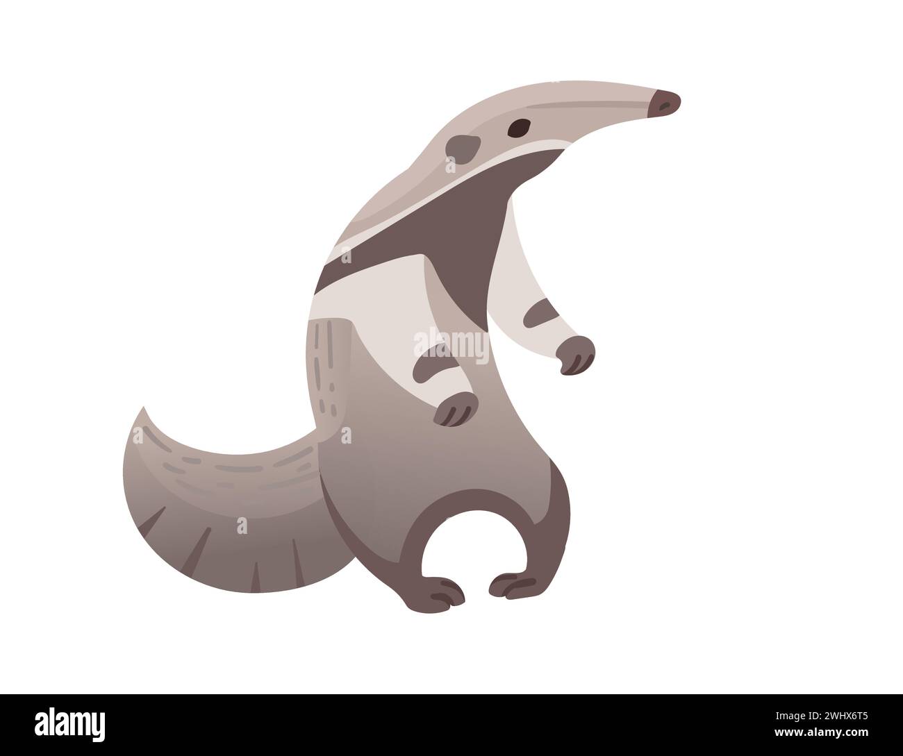 Anteater mammal cartoon animal design vector illustration isolated on ...
