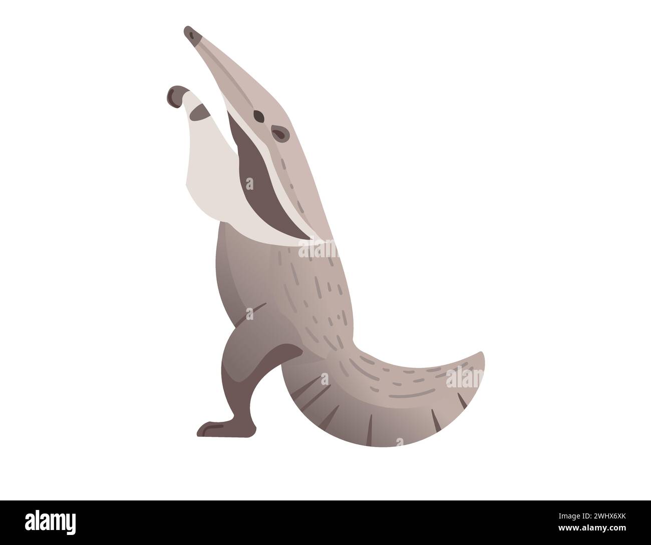 Anteater mammal cartoon animal design vector illustration isolated on ...