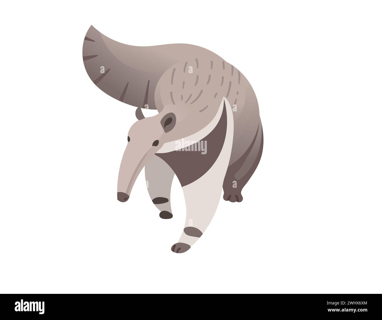 Anteater mammal cartoon animal design vector illustration isolated on ...