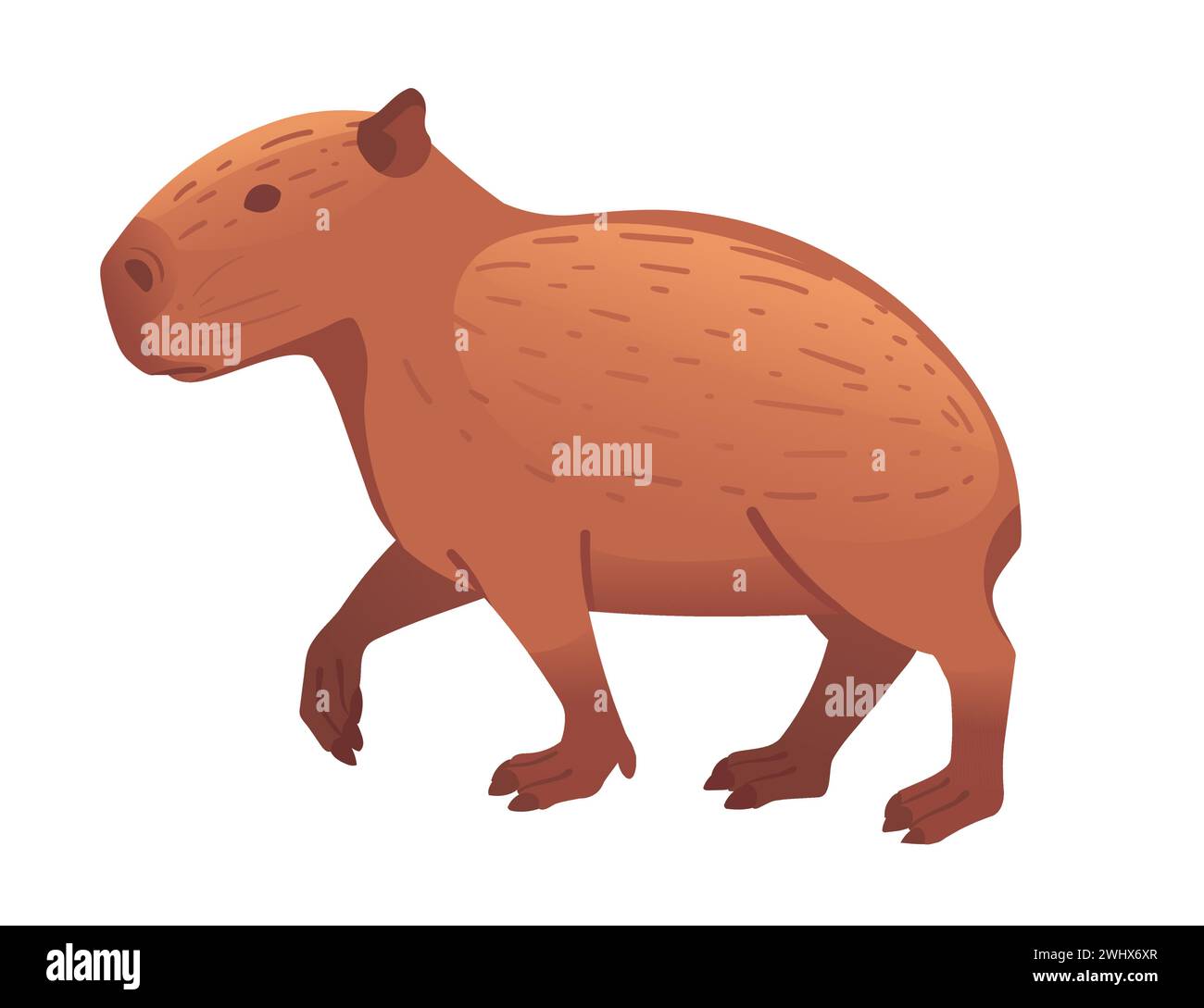 Big mammal cute capybara cartoon animal design vector illustration isolated on white background ...