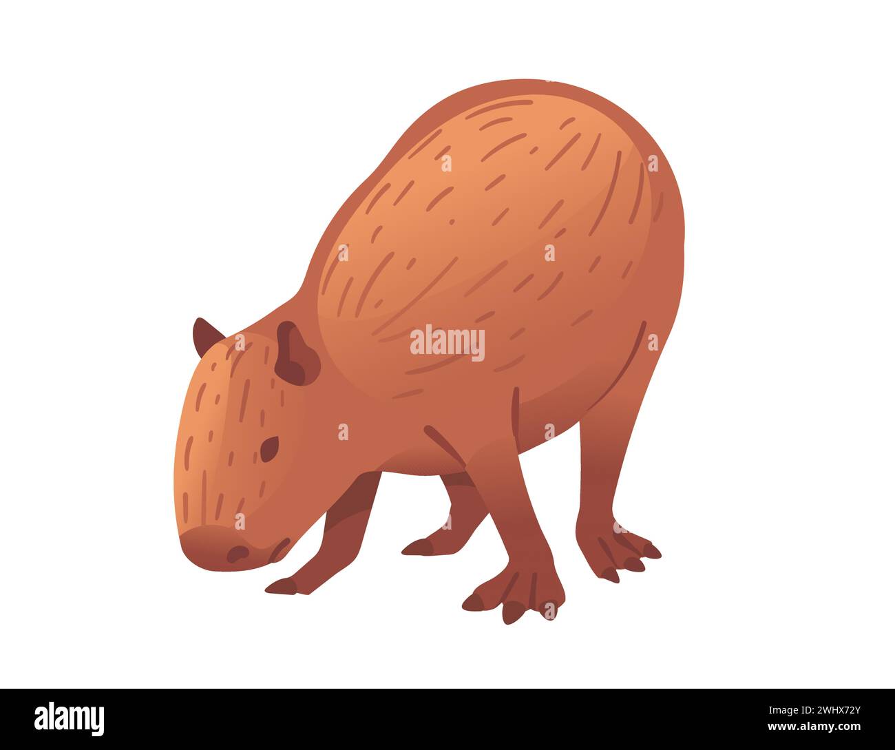 Big mammal cute capybara cartoon animal design vector illustration isolated on white background ...