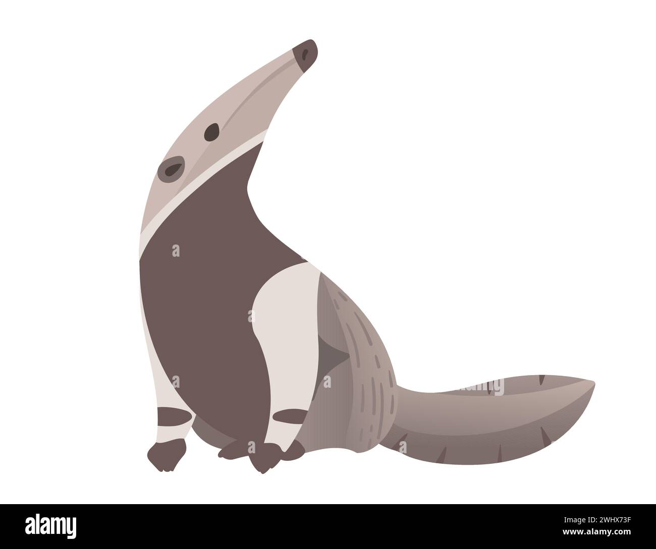 Anteater mammal cartoon animal design vector illustration isolated on ...