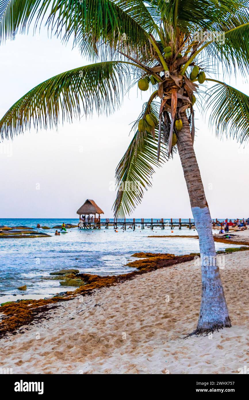 Playa xcalacoco hi-res stock photography and images - Alamy