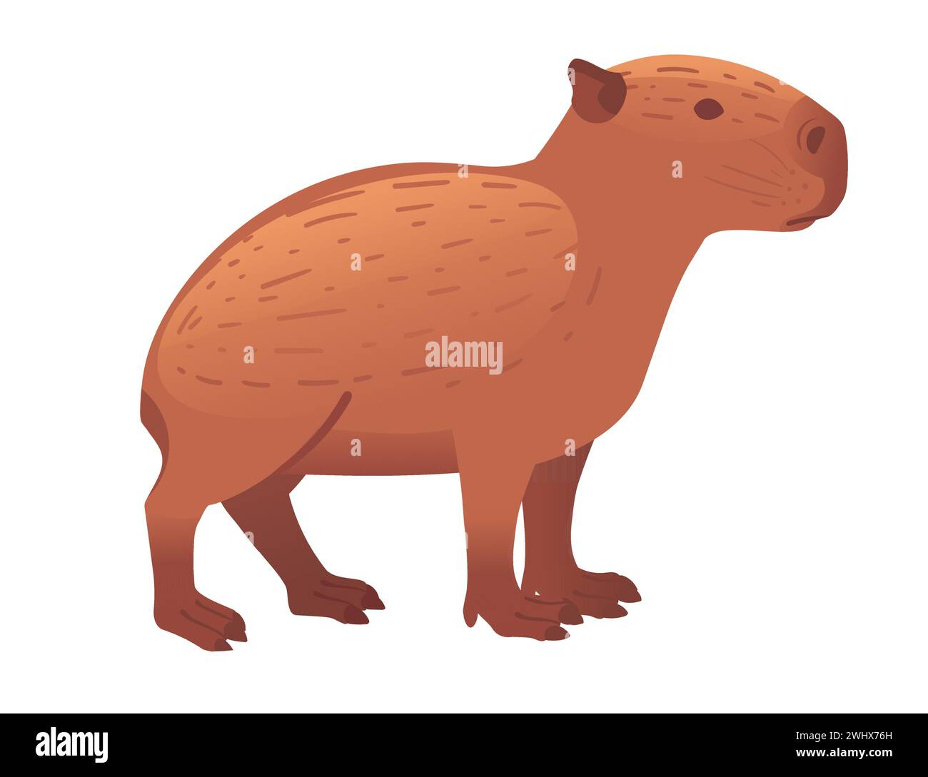 Big mammal cute capybara cartoon animal design vector illustration isolated on white background ...
