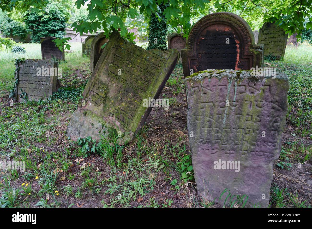 Jewish cemetery Worms, Heiliger Sand, Rhineland-Palatinate Stock Photo ...