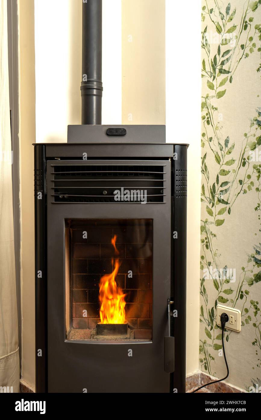 Vertical image of a pellet stove with a beautiful flame inside a living ...
