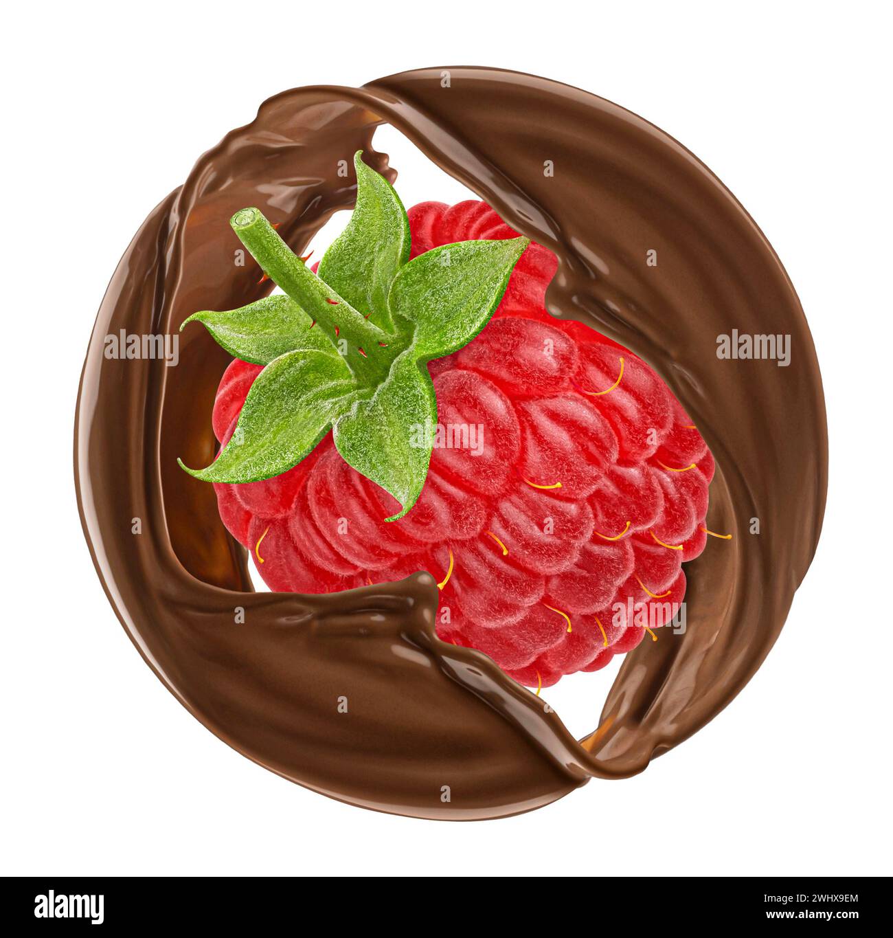 Raspberry and round chocolate splash isolated on white background Stock ...