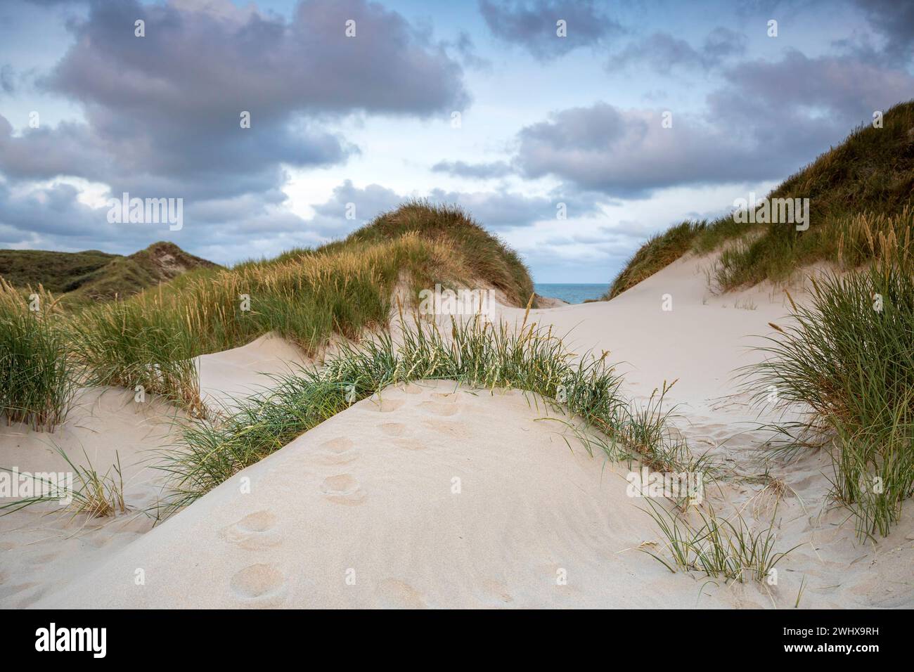 View on sea from sand dunes Stock Photo - Alamy