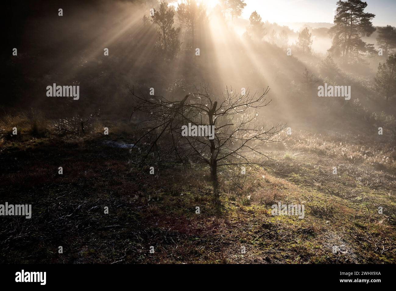 Fog over hills hi-res stock photography and images - Alamy