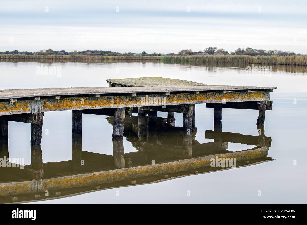 Pond anglers hi-res stock photography and images - Alamy