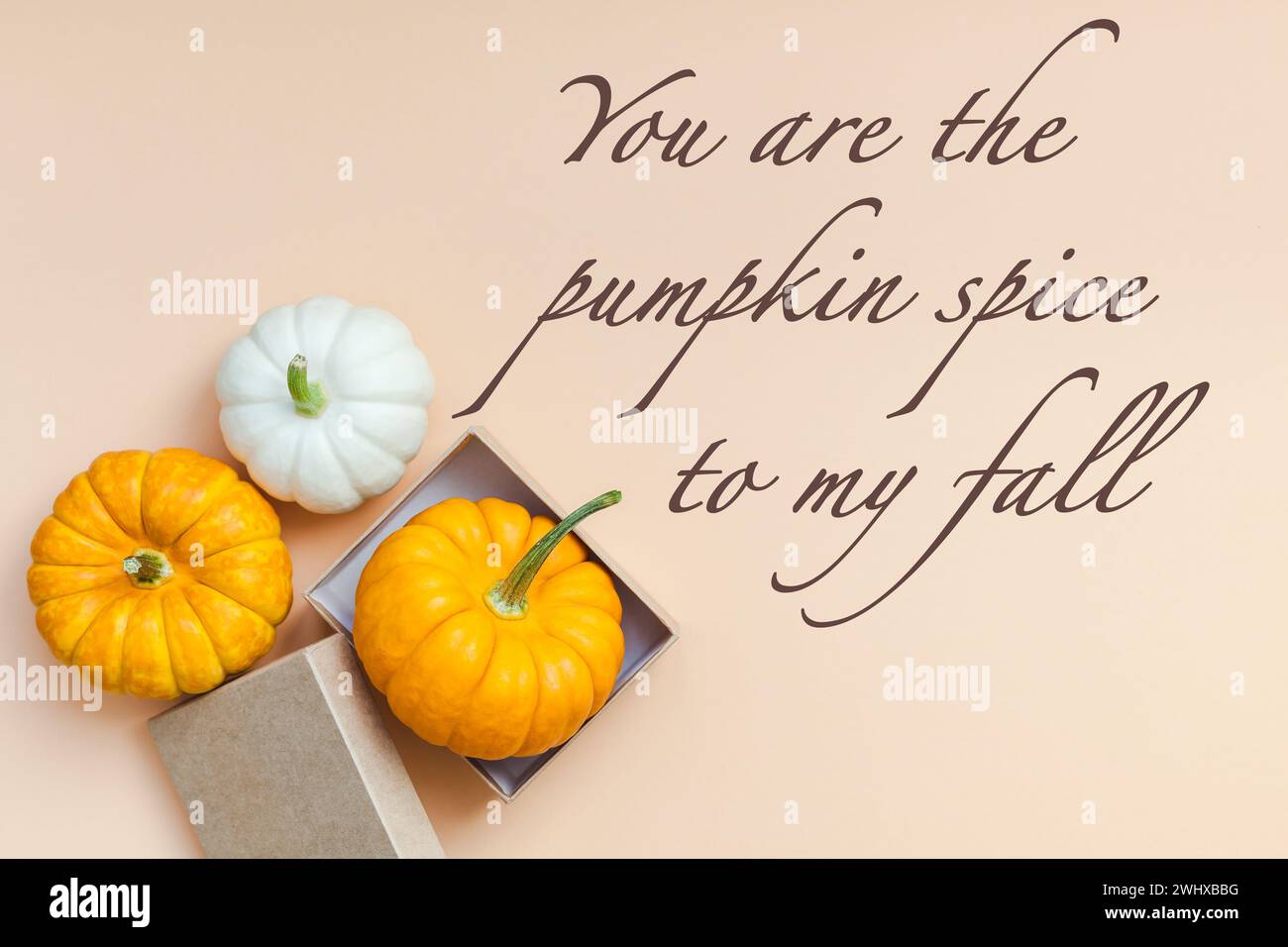 Fall background with small pumpkins Stock Photo - Alamy