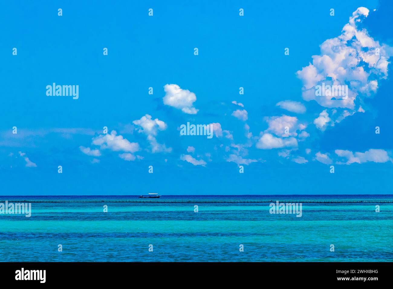 Tropical mexican caribbean beach landscape panorama with clear ...