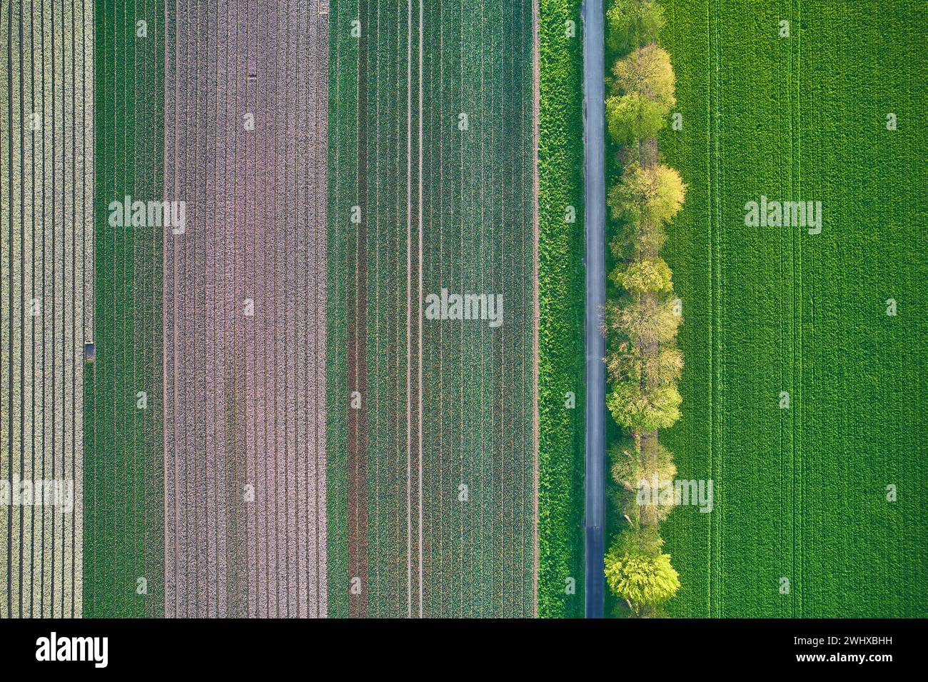 Arial View of agricultural field and road. High quality photo Stock ...