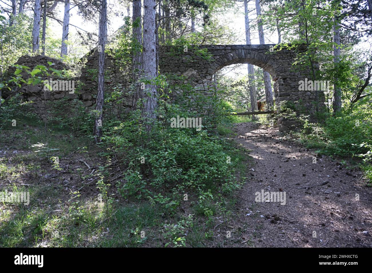 Church ruin Pankrazi near Alland, Austria Stock Photo - Alamy