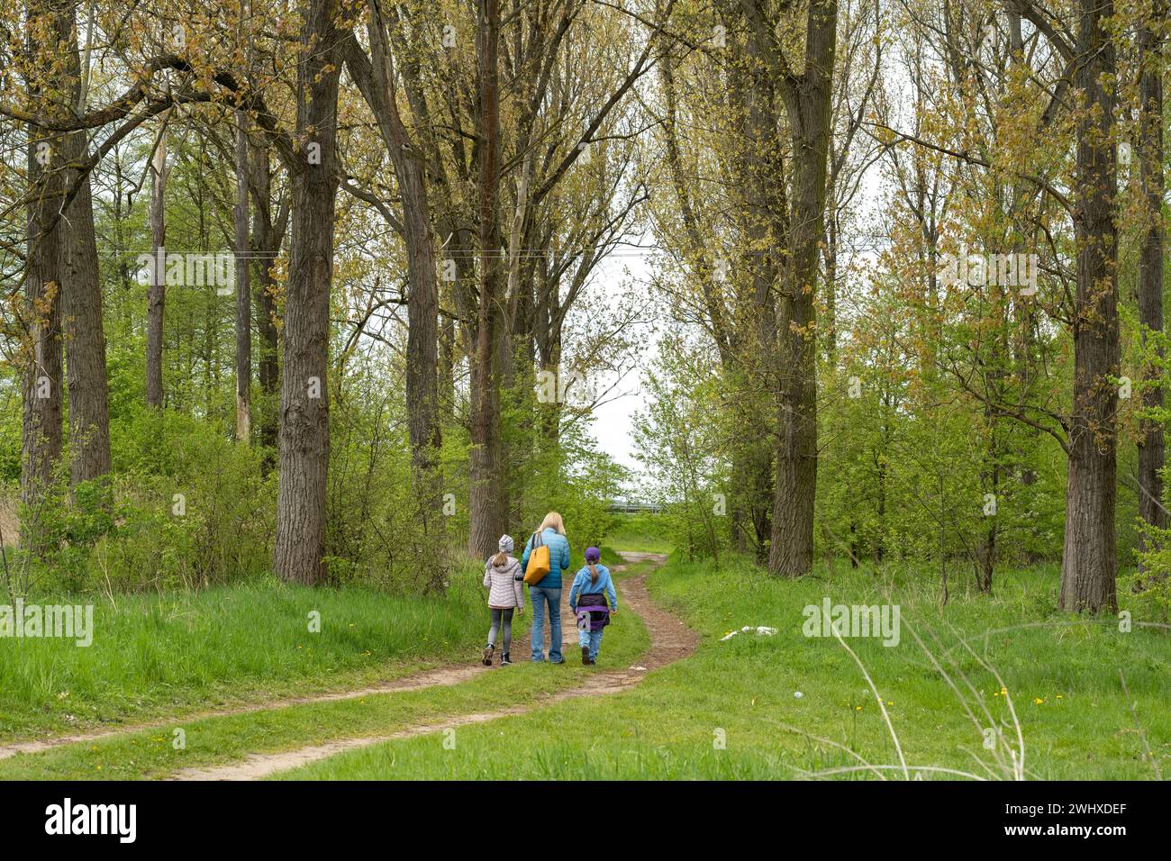 Two children sisters siblings and her mother walking through a forest ...