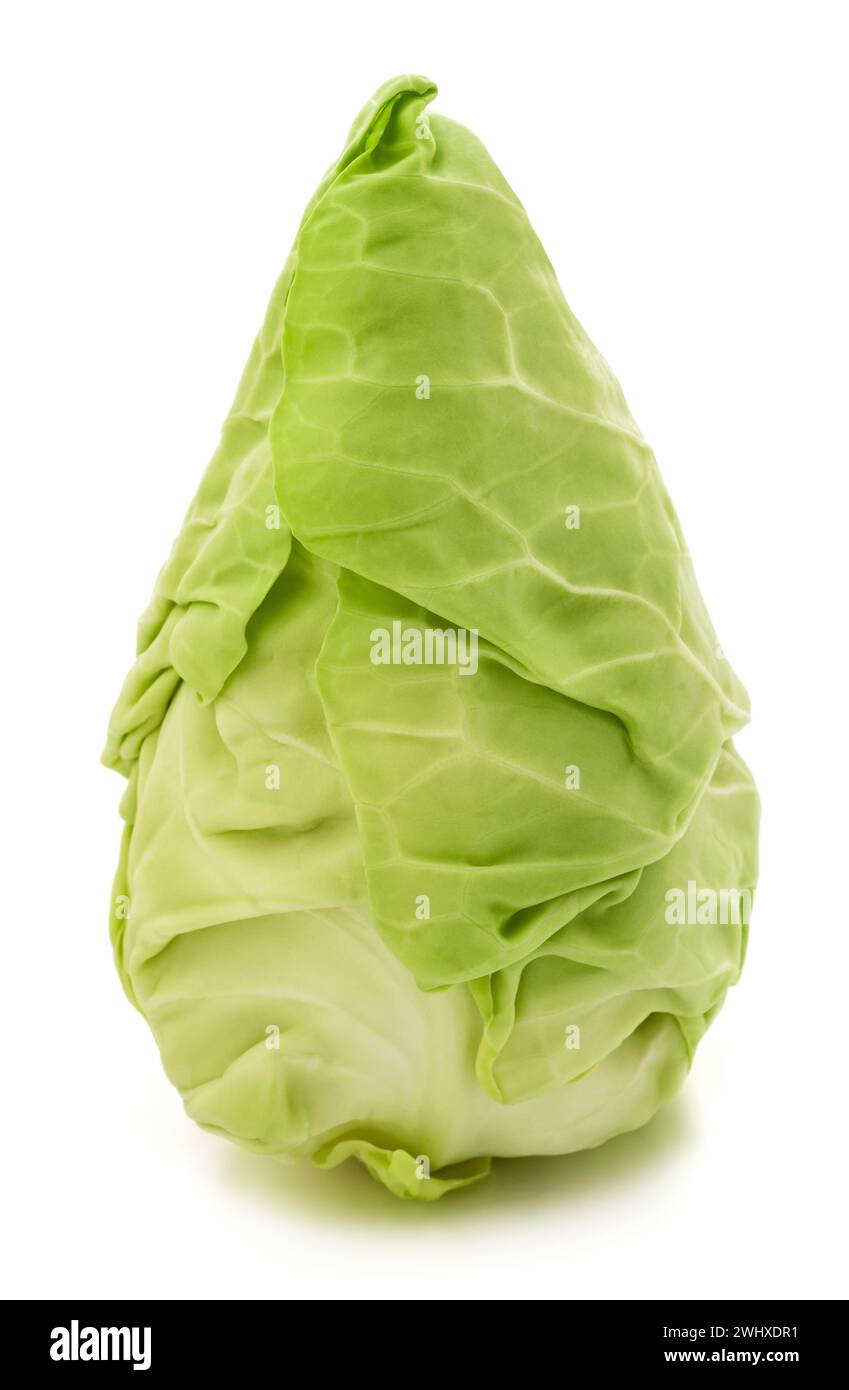 Fresh pointed cabbage isolated on white background Stock Photo - Alamy