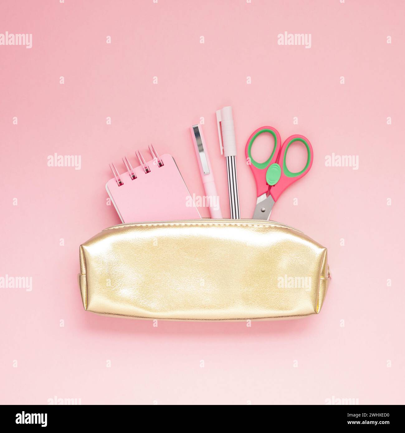 Golden school case for girl Stock Photo - Alamy