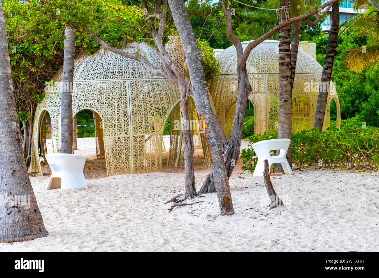 Palapa thatched roofs palm trees parasols umbrellas and sun loungers at ...