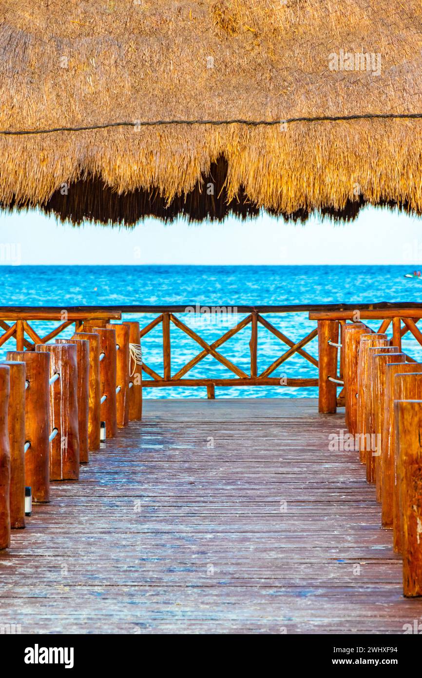 Tropical mexican caribbean beach landscape panorama with clear ...