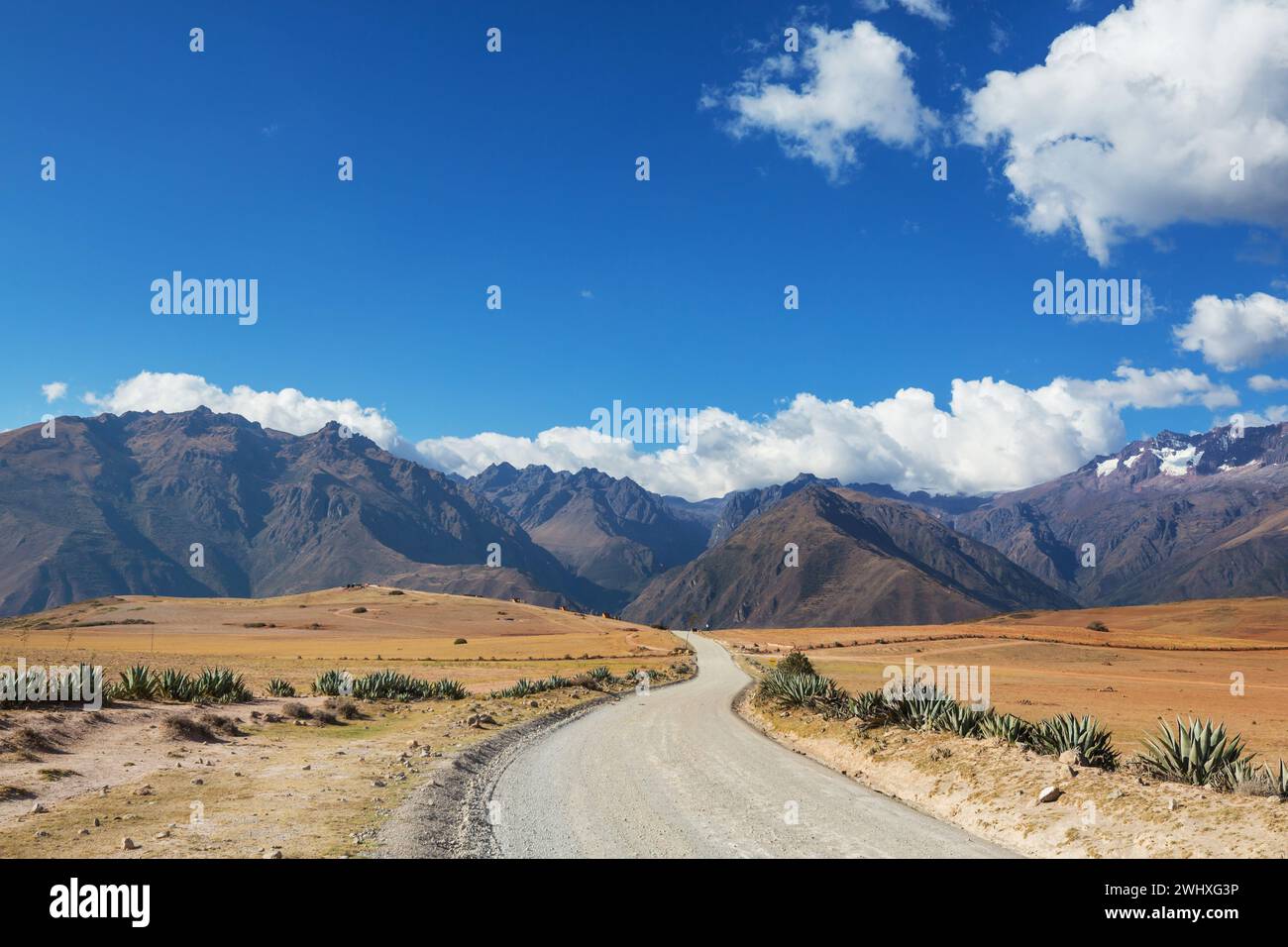 Hiking in the fantastic landscape of the Peruvian high mountain Andes ...