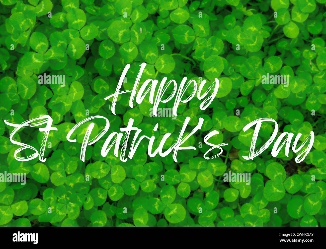 Greeting card text HAPPY ST PATRICKS DAY on Greenish cleaver natural ...