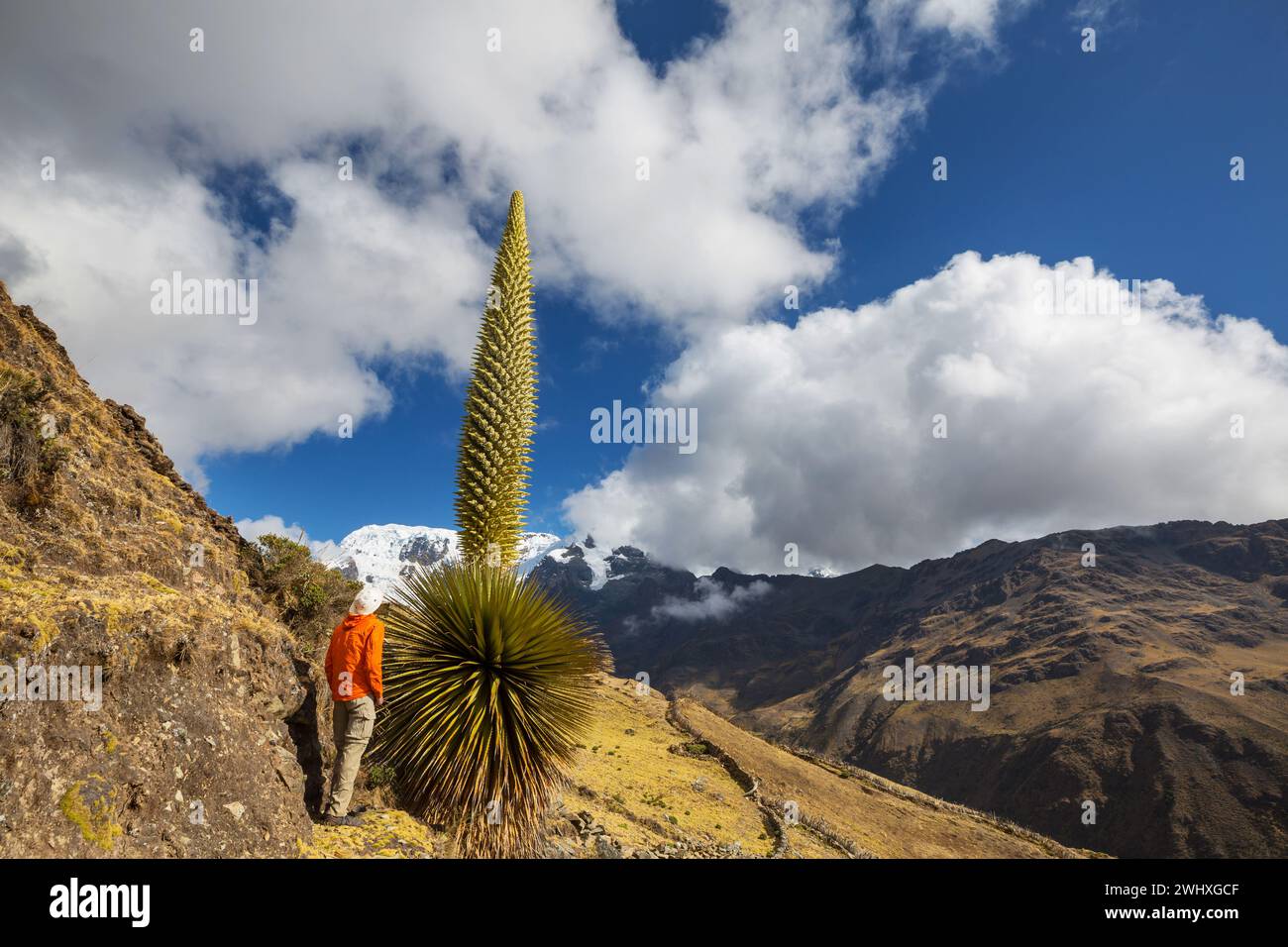 Hiking in the fantastic landscape of the Peruvian high mountain Andes ...