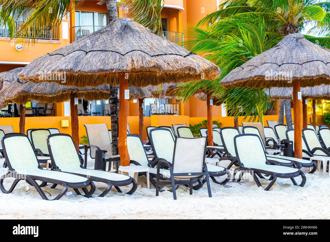 Palapa thatched roofs palm trees parasols umbrellas and sun loungers at ...