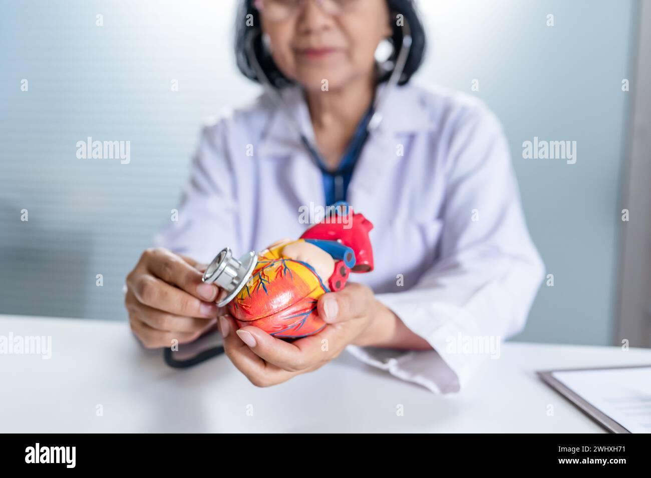 Cardiologist supports the heart senior asian woman doctor wearing ...