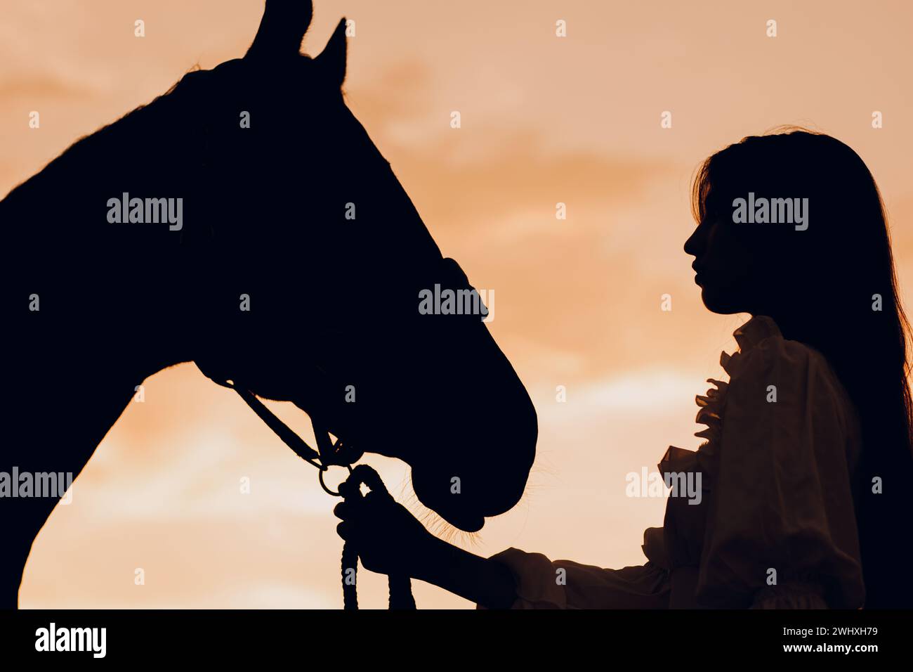 Woman silhouette with her horse at outdoors ranch Stock Photo - Alamy