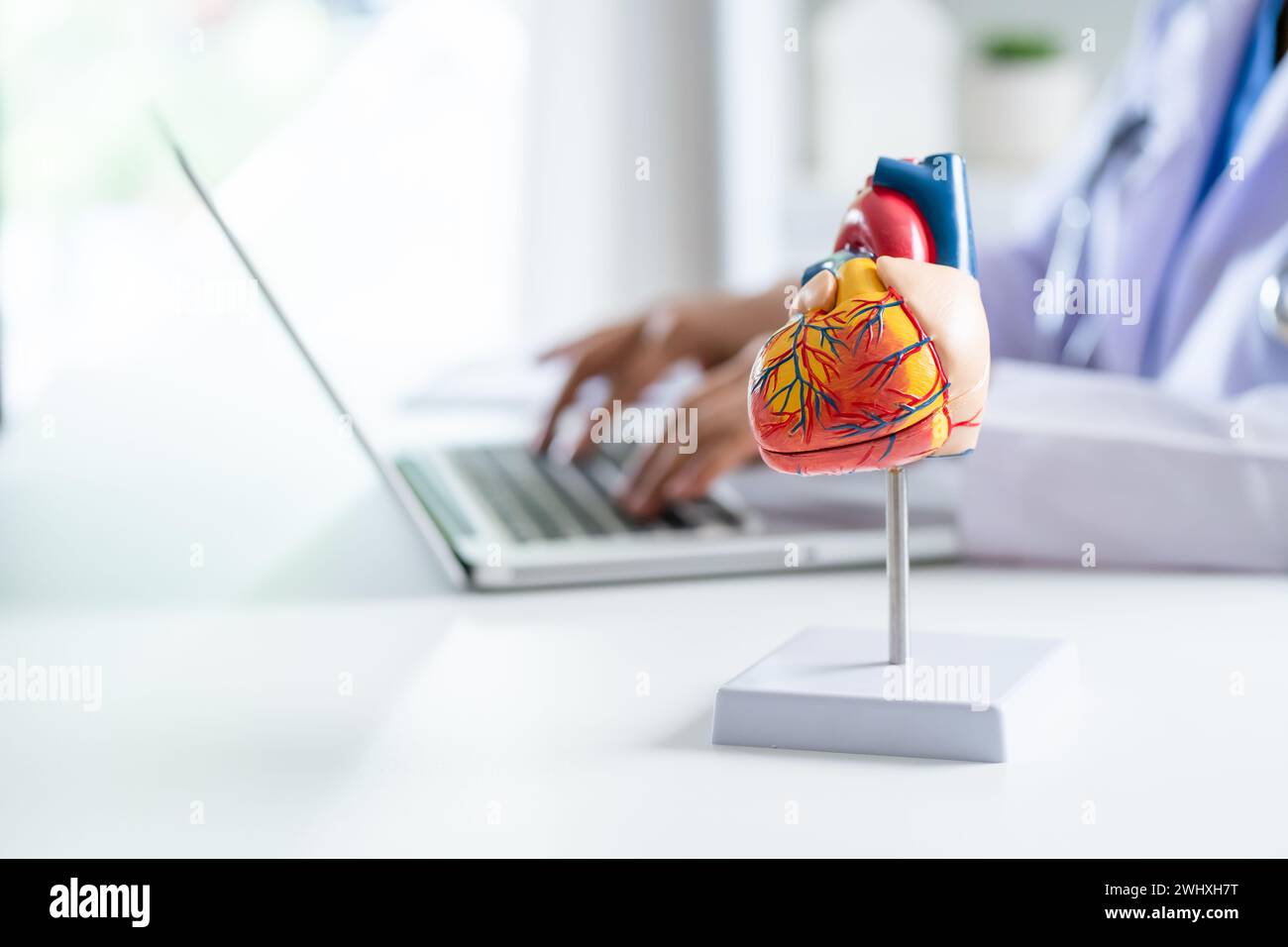 Doctor consult patient on laptop with anatomical model of human heart ...