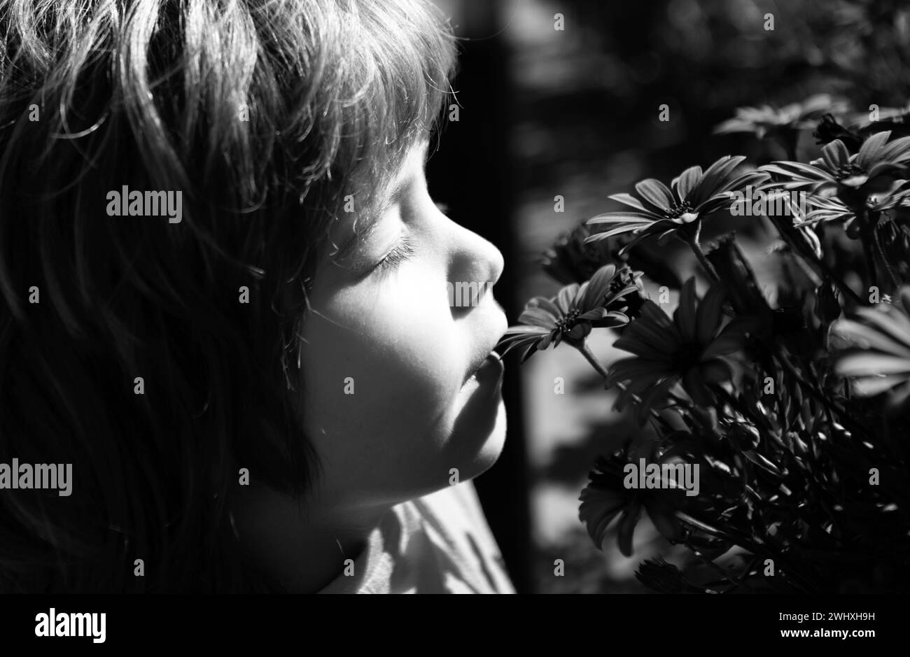 Kids allergy free. Little boy smelling flower outdoor. Kid sniffing ...