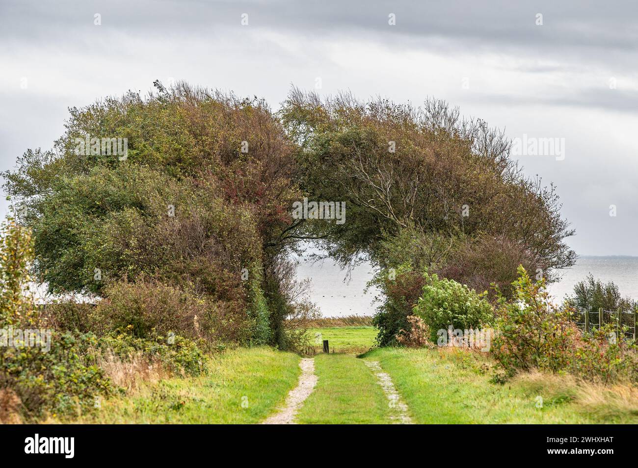 Wind refugee tunnel hi-res stock photography and images - Alamy