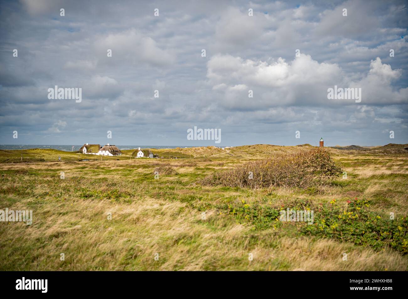 Dune house on coast hi-res stock photography and images - Alamy