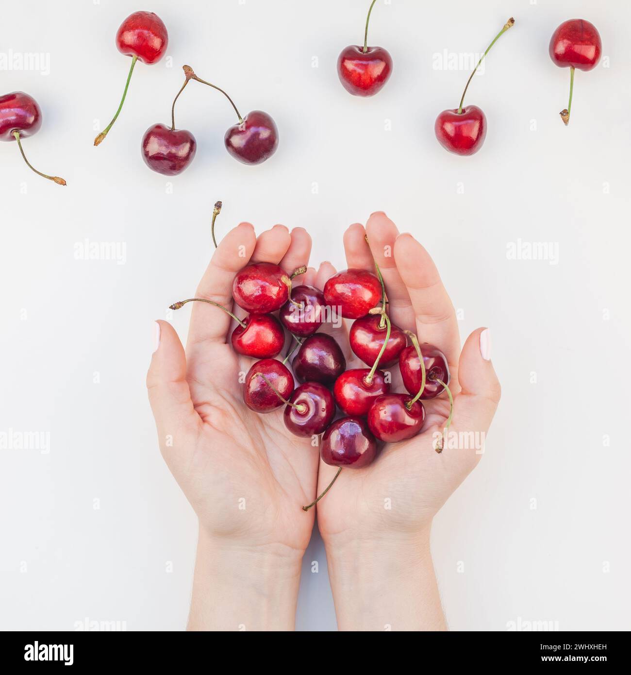 Ripe cherry in female hands hi-res stock photography and images - Alamy