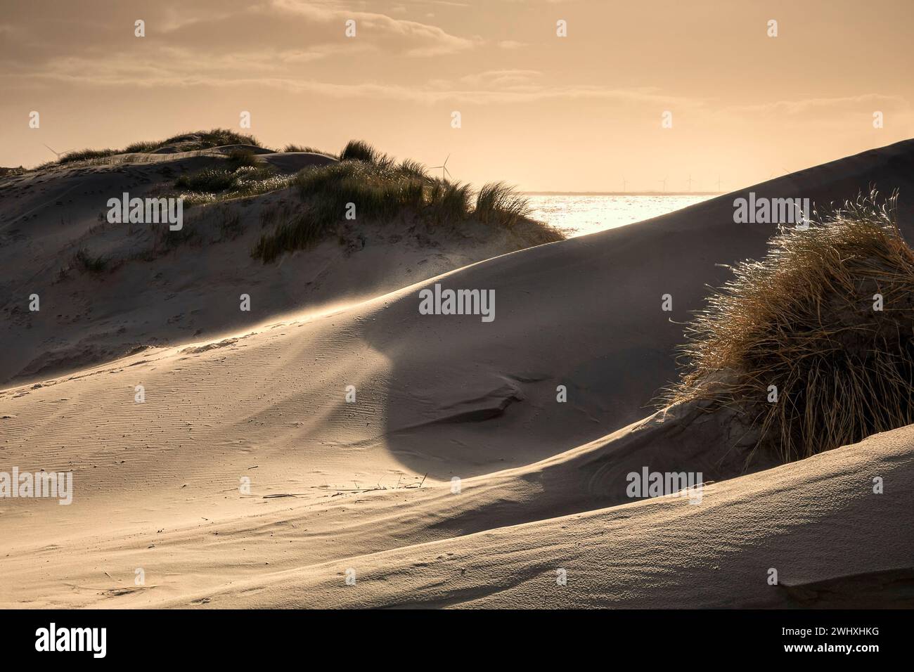 Warm sunshine at the beach hi-res stock photography and images - Alamy